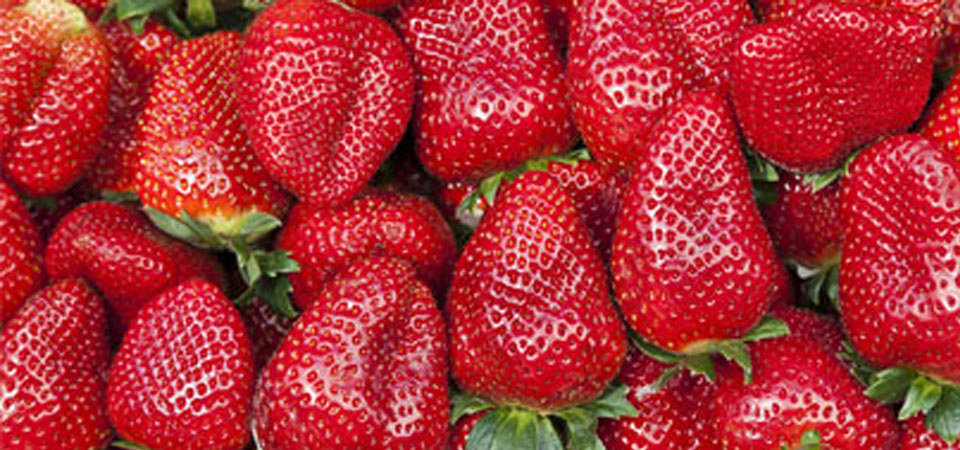 Beneficios que no conocías de las fresas | Chef Oropeza